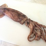 Squid - How to Clean and Prepare Whole Squid - Poor Man's Gourmet Kitchen
