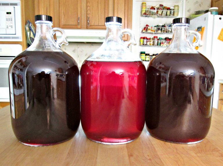 How to Make Homemade Wine Part 1: The Primary Stage for Beginners ...